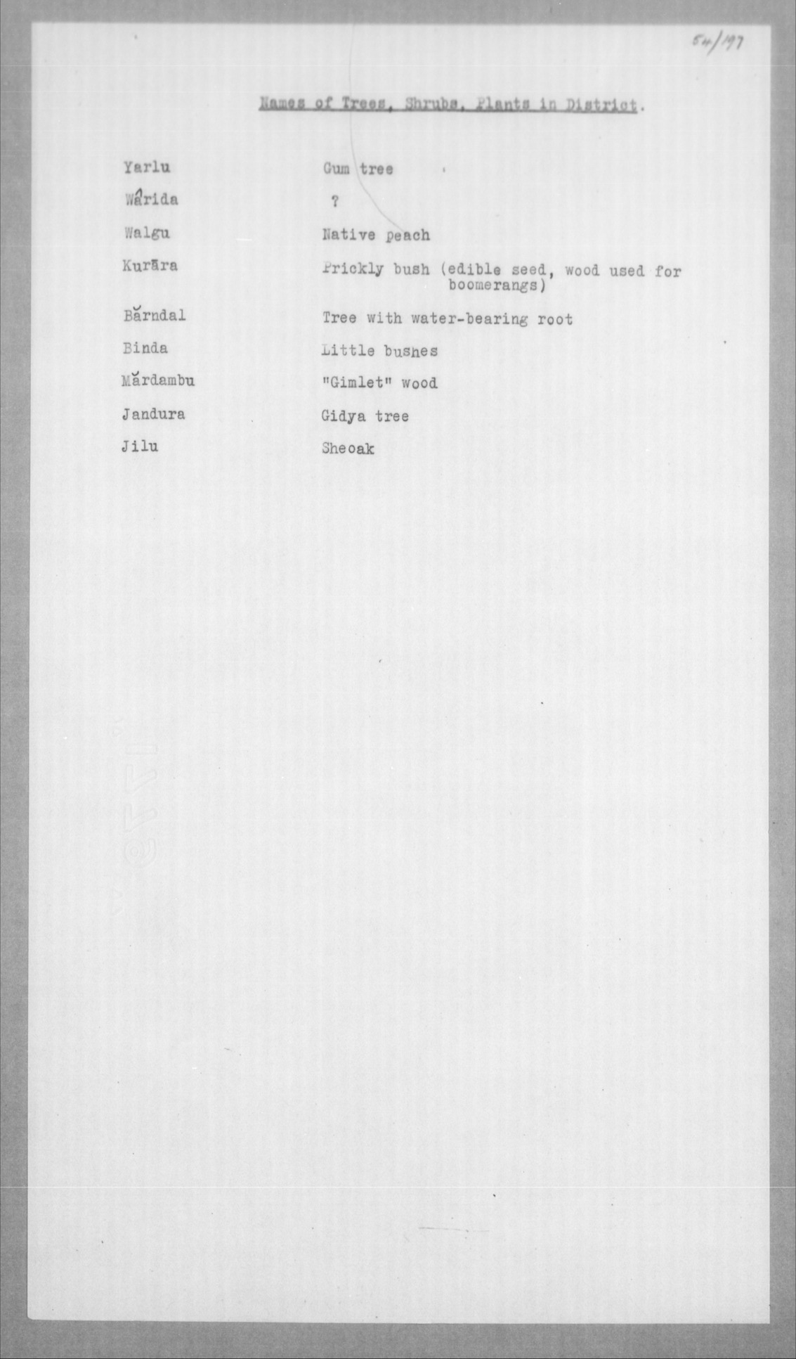 Wajida's Information Waianwonga Tribe